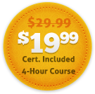 Florida FLHSMV TLSAE 4-Hour Course | Easy Florida Drivers Ed